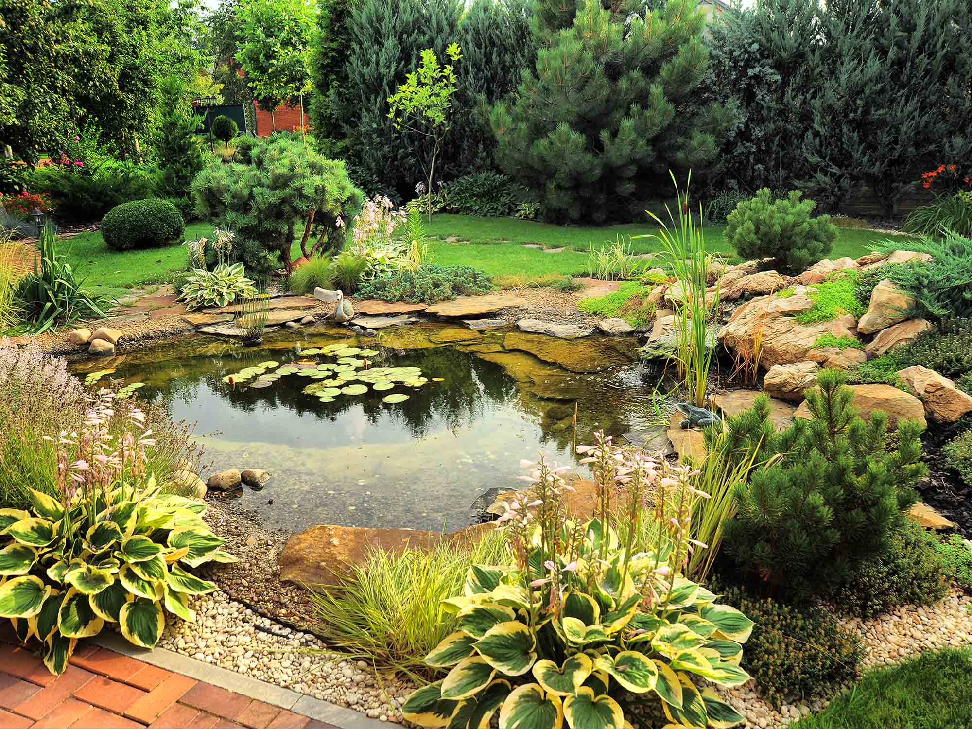 Landscape Designer Augusta GA
